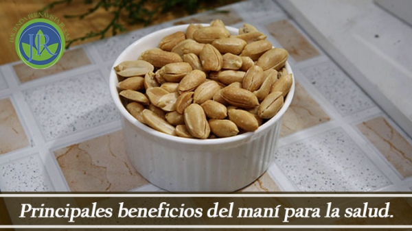 Principales beneficios del maní para la salud – Hacienda Buenavista