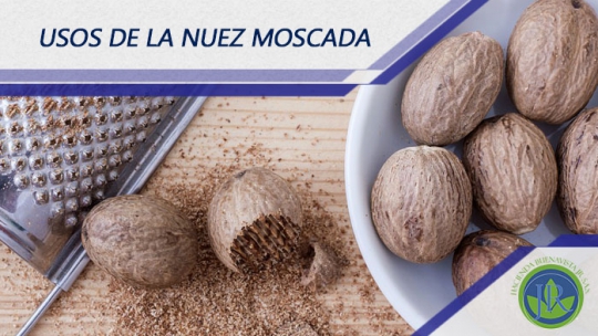 Usos de la nuez moscada – Hacienda Buenavista