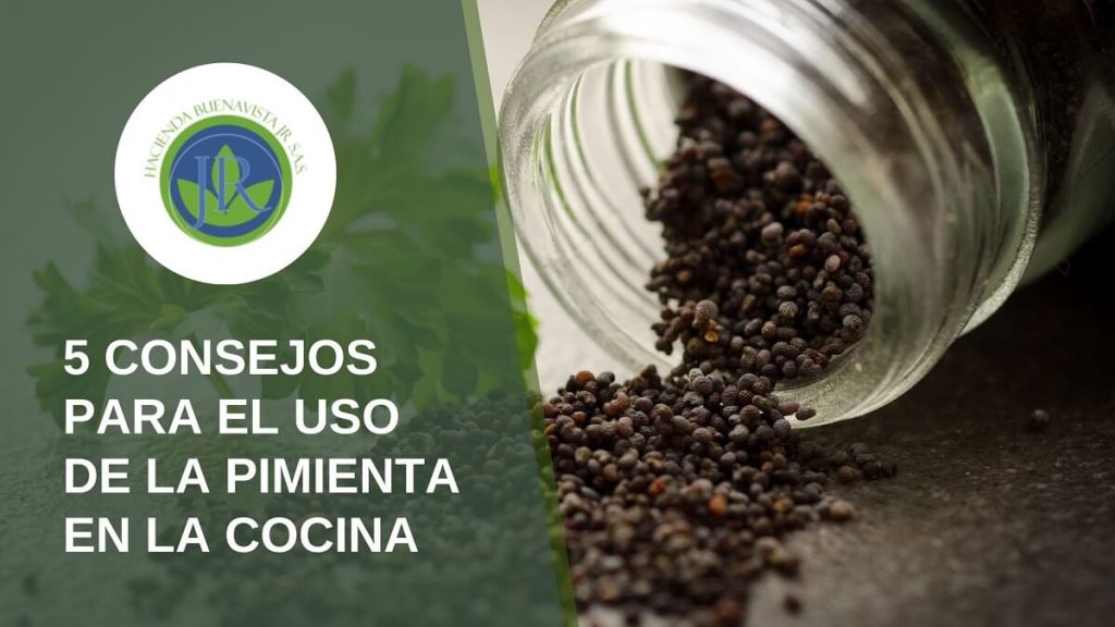 5 Consejos para el uso de la pimienta en la cocina – Hacienda Buenavista