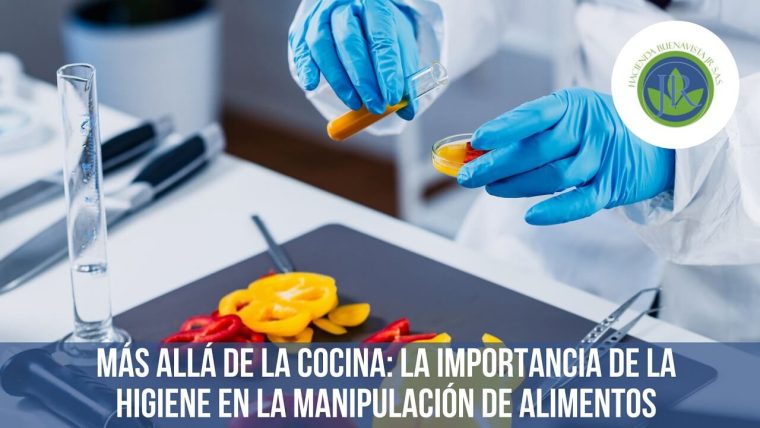 Más Allá de la Cocina: La Importancia de la Higiene en la Manipulación ...