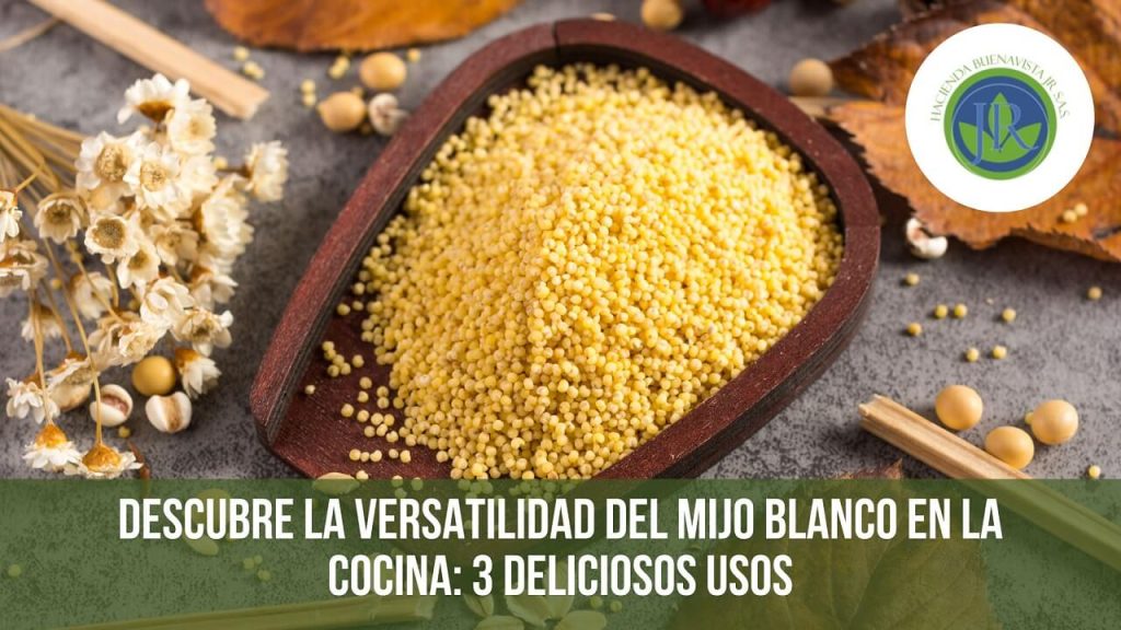 Descubre la Versatilidad del Mijo Blanco en la Cocina: 3 Deliciosos ...