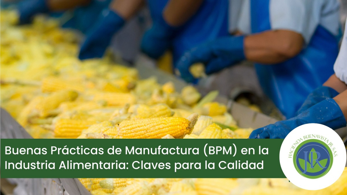 Buenas Prácticas de Manufactura (BPM) en la Industria Alimentaria: Claves para la Calidad ...